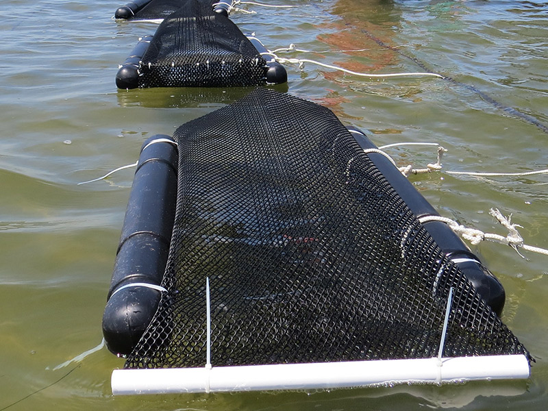 Float Oyster Bag - Buy Float Oyster Bag Product on Qingfa